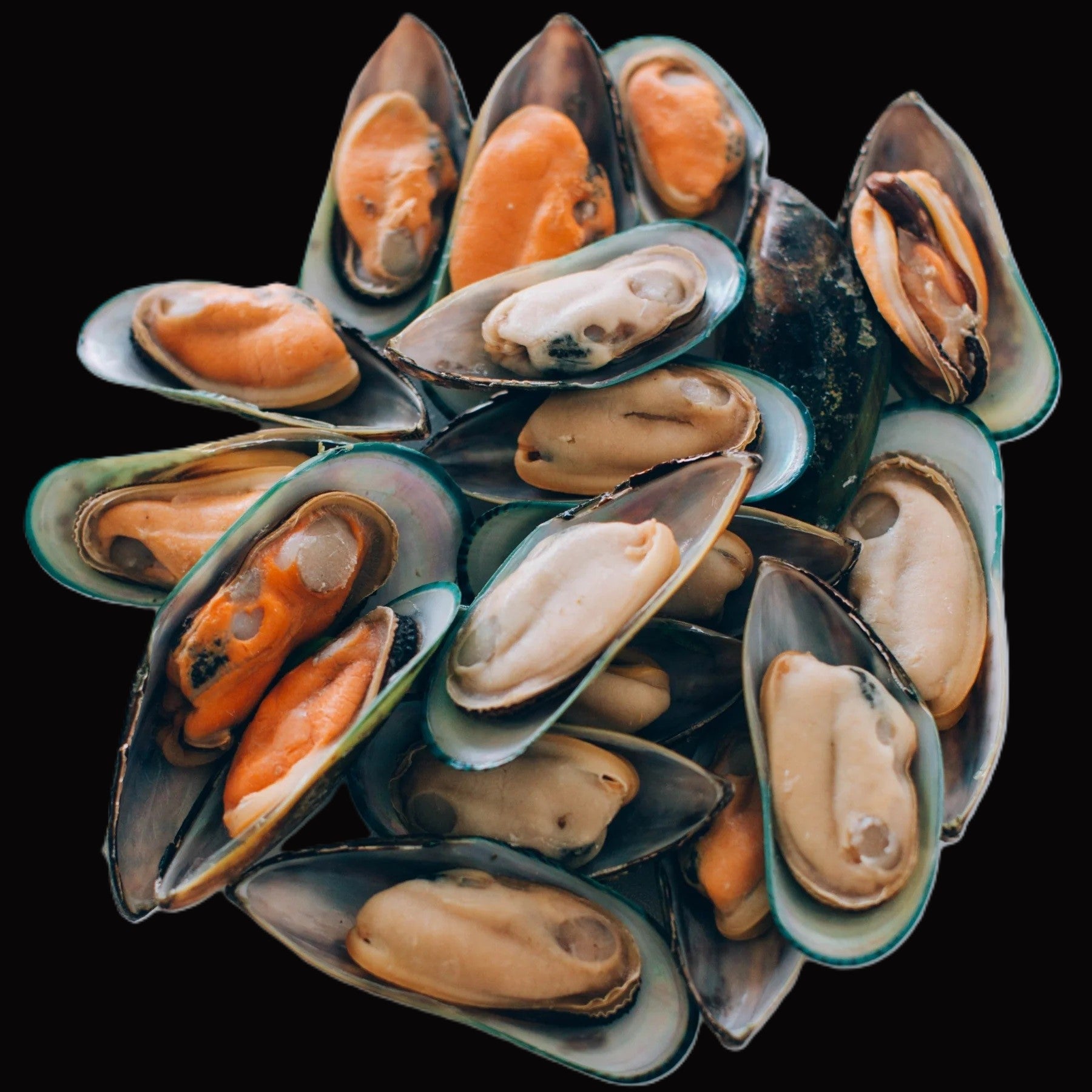 HALF SHELL GREEN MUSSEL - (PER 907G/PKT)– Lim Traders